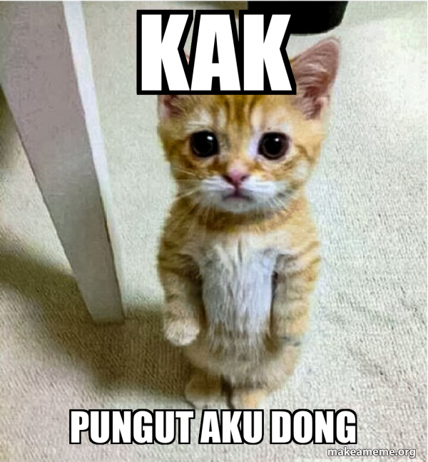 KAK PUNGUT AKU DONG - Cute Cat Standing Meme Generator