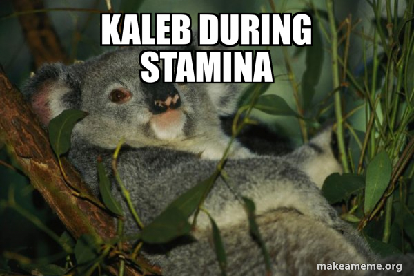 Kaleb during stamina - Laid Back Koala Meme Generator