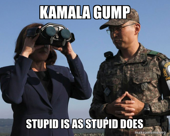 Kamala Gump Stupid is as stupid does Meme Generator