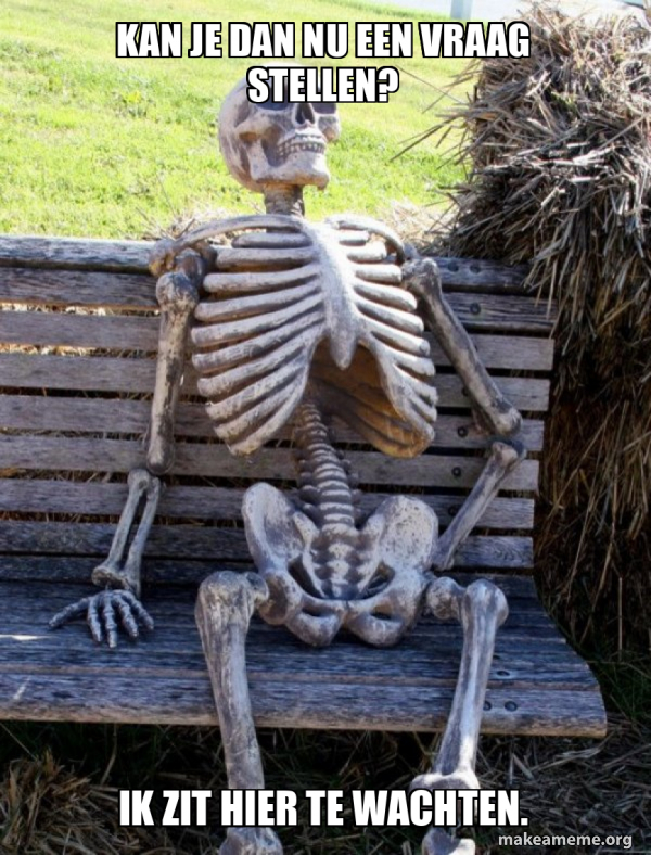 Kan je dan nu een vraag stellen? Ik zit hier te wachten. - Waiting ...