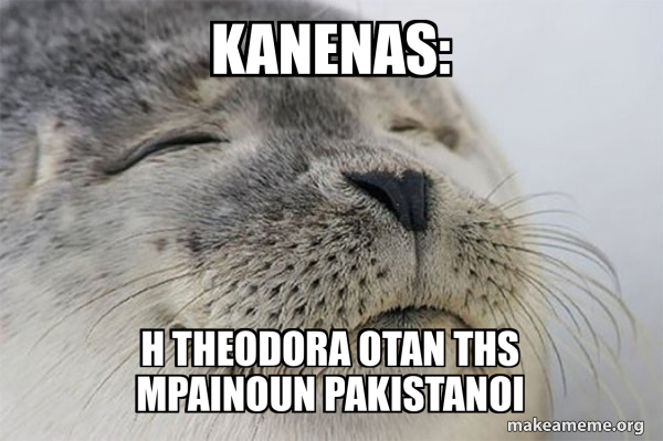 kanenas: H theodora otan ths mpainoun pakistanoi - Satisfied Seal Meme ...