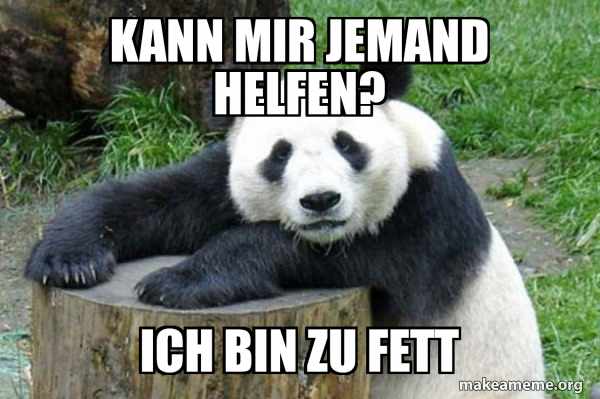 Kann mir jemand Helfen? Ich bin zu Fett - Confession Panda Meme Generator