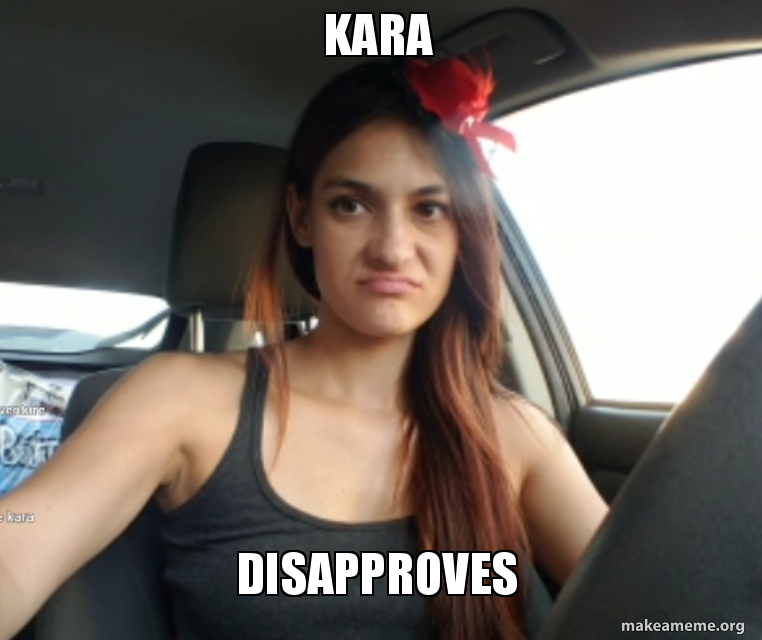 Kara disapproves - The Twitch.tv entertainer Kara Corvus feels hungry, poor and desperate. Meme ...