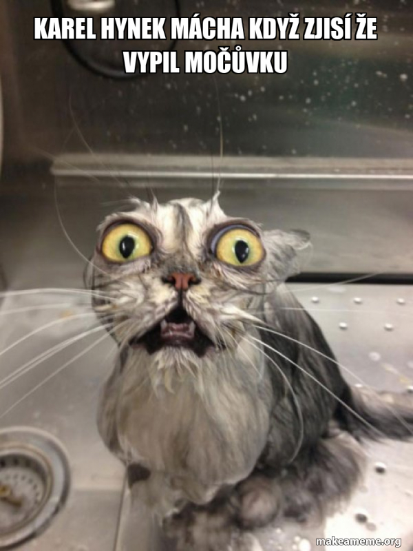 Karel Hynek Mácha když zjisí že vypil močůvku - Cat bath Meme Generator