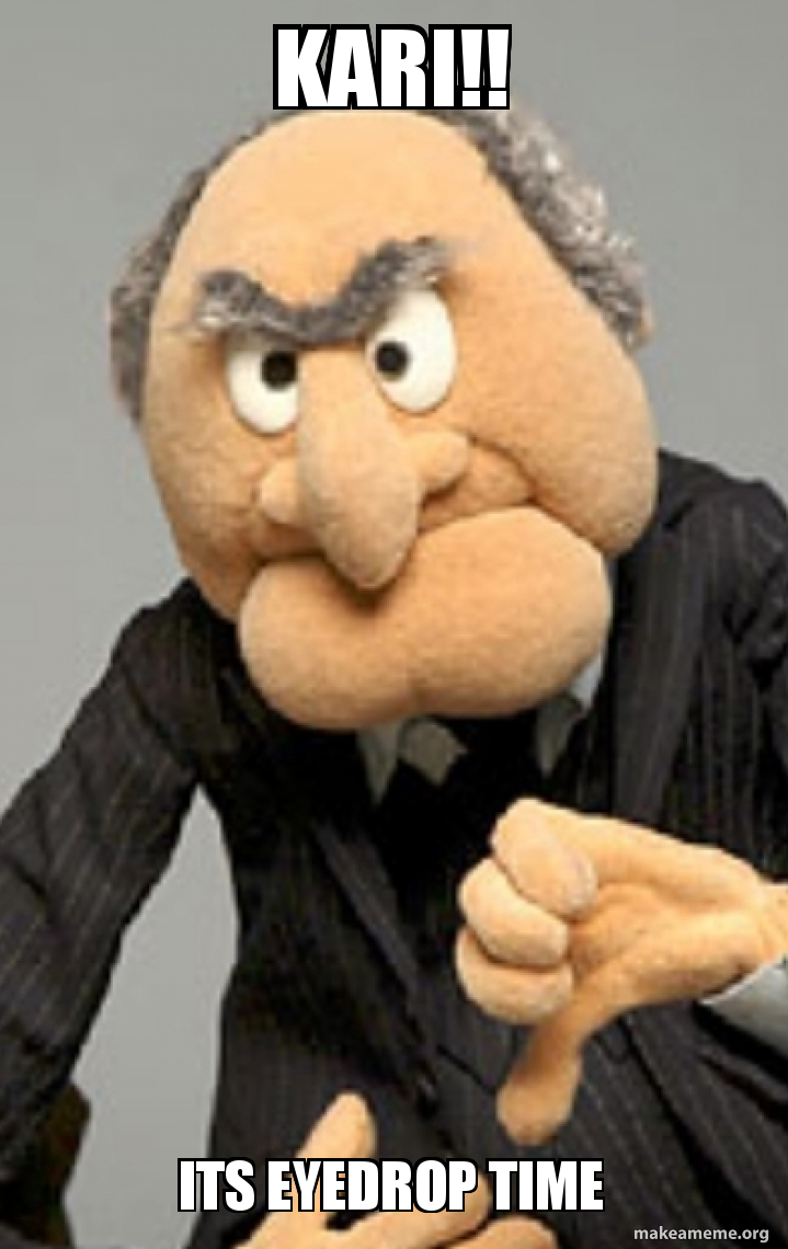 Kari!! Its eyedrop time Meme Generator