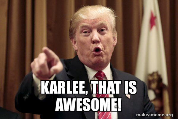 Karlee Memes Karlee Wiesehan (@stormtroopr3564) / X