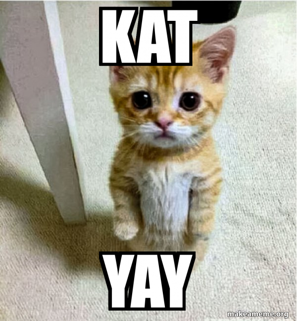 kat yay - Cute Cat Standing Meme Generator