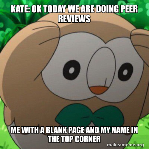 Kate: Ok Today we are doing peer Reviews me with a blank page and my ...