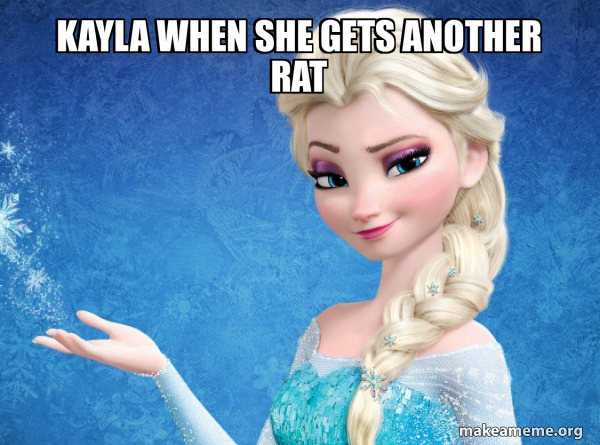 KAYLA WHEN SHE GETS ANOTHER RAT - Elsa from Frozen Meme Generator