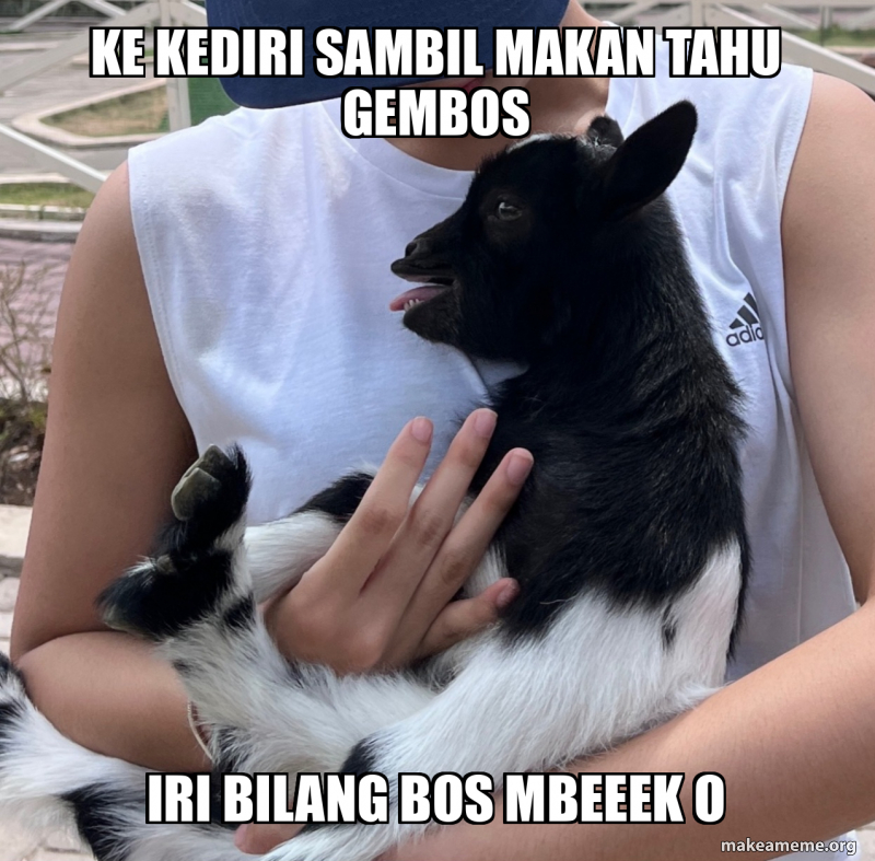 ke kediri sambil makan tahu gembos iri bilang bos mbeeek o Meme Generator