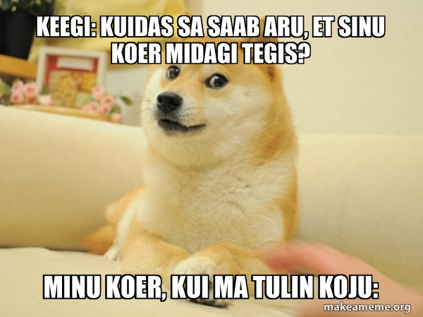 Keegi: Kuidas sa saab aru, et sinu koer midagi tegis? Minu koer, kui ma ...