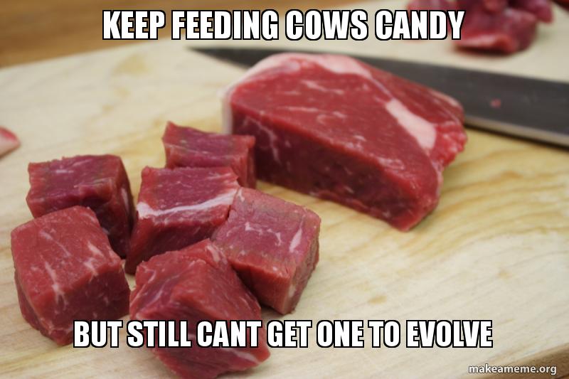 Keep Feeding Cows Candy But Still Cant Get One to Evolve - Pokemon ...