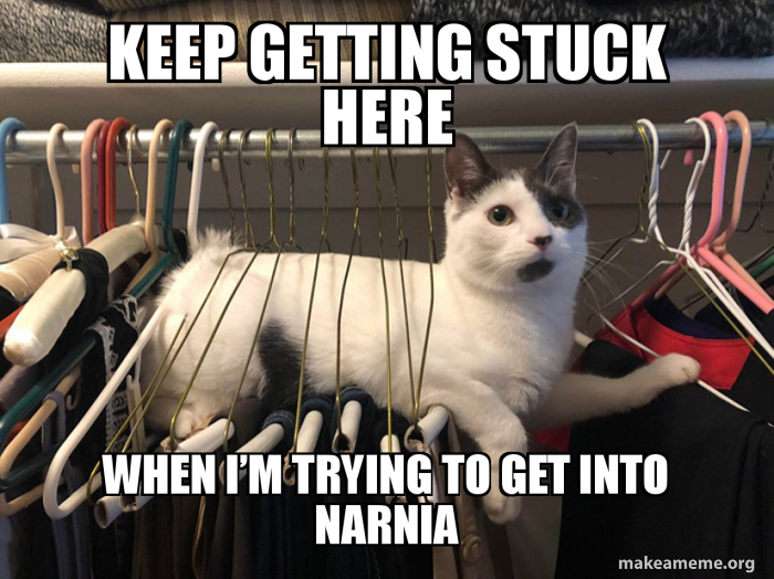 keep getting stuck here when Iâ€™m trying to get into narnia Meme Generator