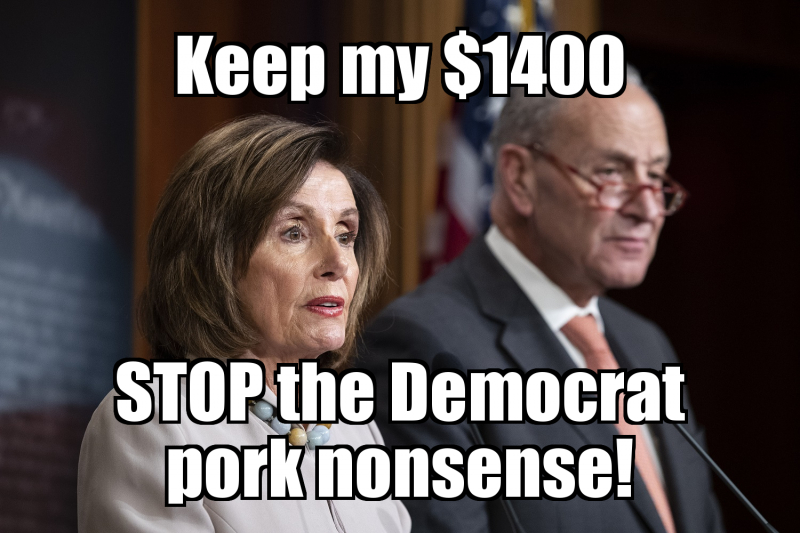 Keep my $1400 STOP the Democrat pork nonsense! Meme Generator