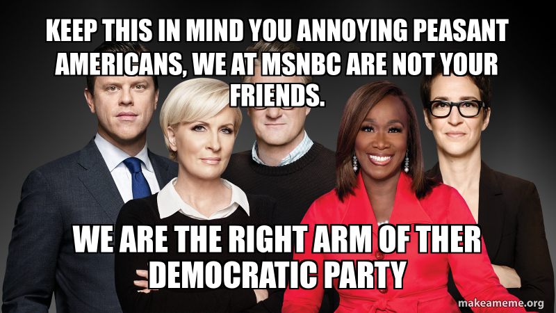 Keep this in mind you annoying peasant Americans, we at MSNBC are not ...