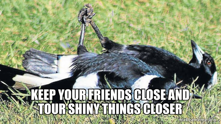KEEP YOUR FRIENDS CLOSE AND TOUR SHINY THINGS CLOSER Meme Generator
