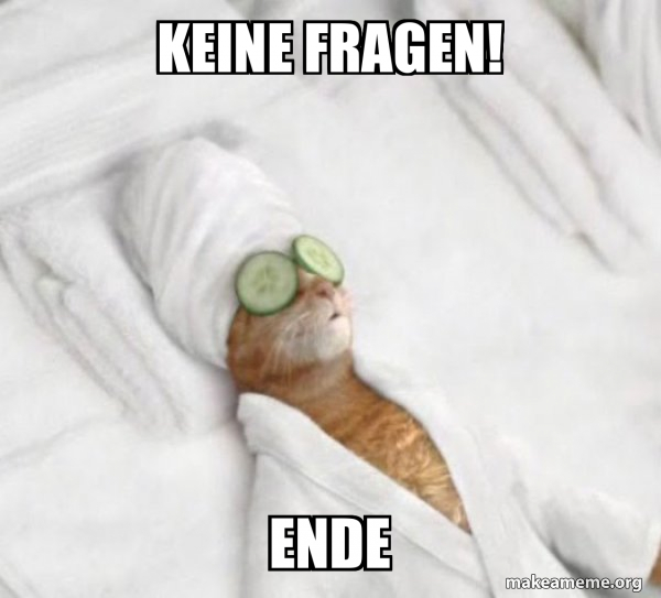 KEINE FRAGEN! ENDE - Pampered Cat Meme Meme Generator
