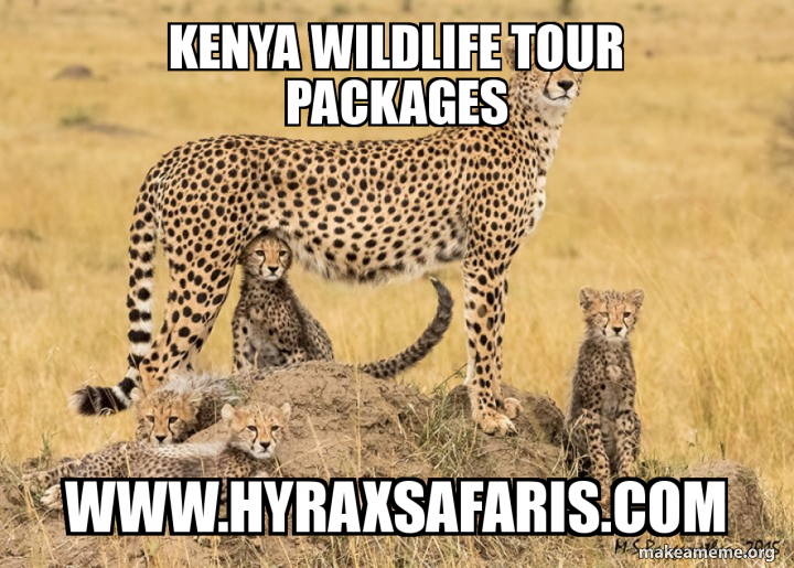 Kenya Wildlife Tour Packages WWW.hyraxsafaris.com - Kenya Wildlife Tour ...