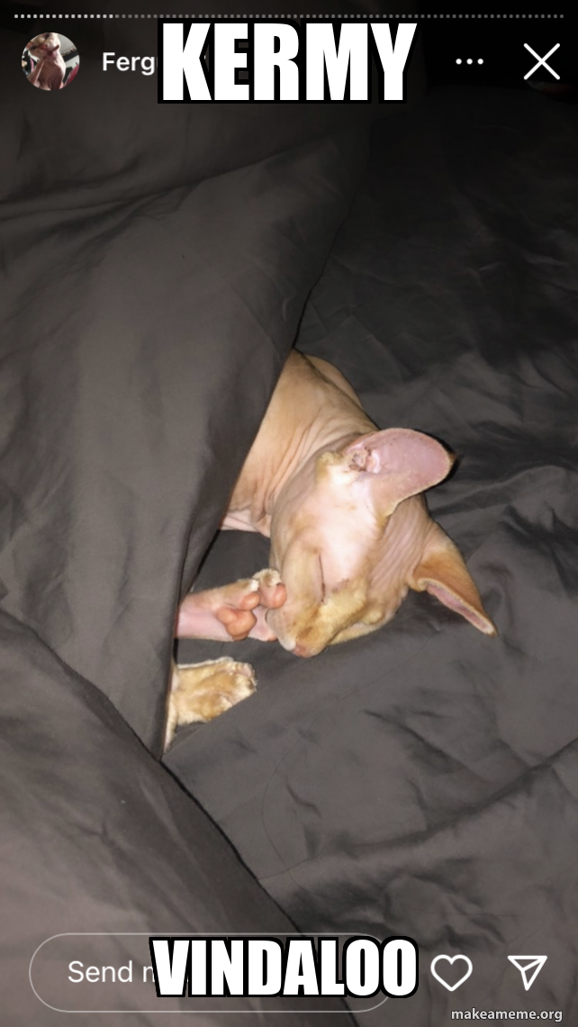 KeRmy Vindaloo Meme Generator