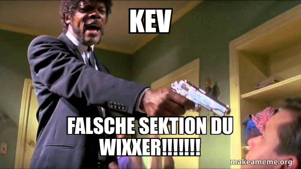 Kev FALSCHE SEKTION DU WIXXER!!!!!!! - Samuel L. Jackson Say What Meme ...