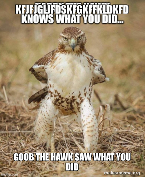 kfjfjgljfdskfgkffkldkfd goob the hawk saw what you did Meme Generator
