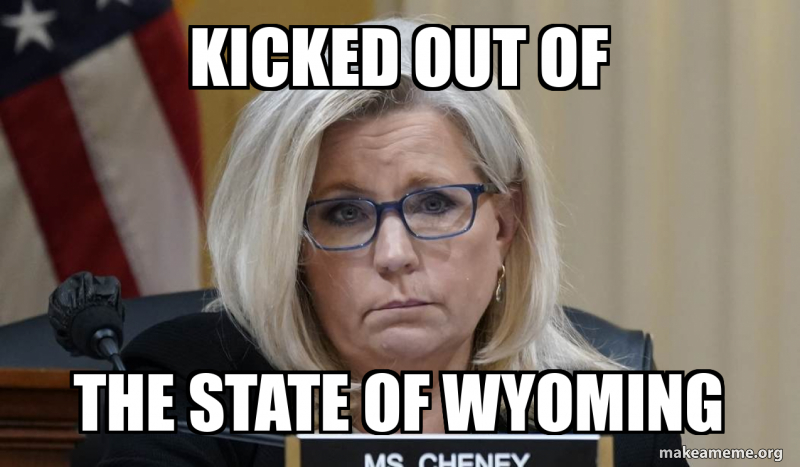 Kicked out of The state of Wyoming Meme Generator