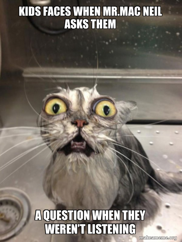 Kids faces when Mr.mac Neil asks them a question when they weren’t ...