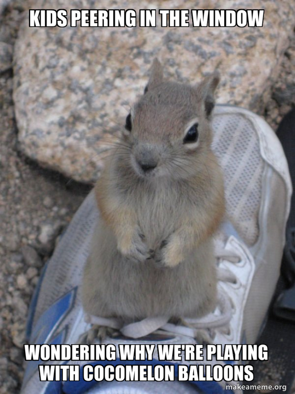 Kids peering in the window wondering why we're playing with cocomelon ...