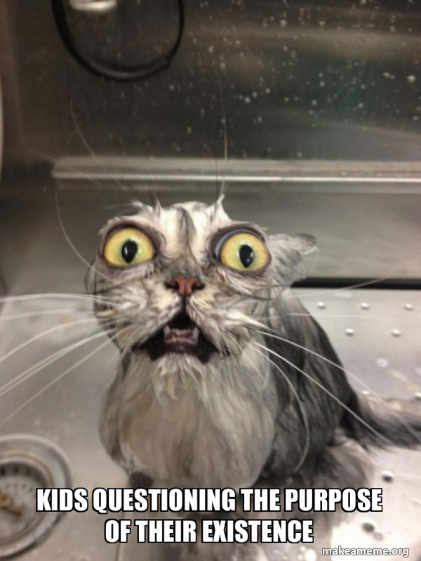 Kids questioning the purpose of their existence - Cat bath Meme Generator