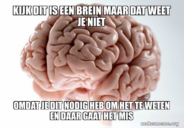 kijk dit is een brein maar dat weet je niet omdat je dit nodig heb om ...