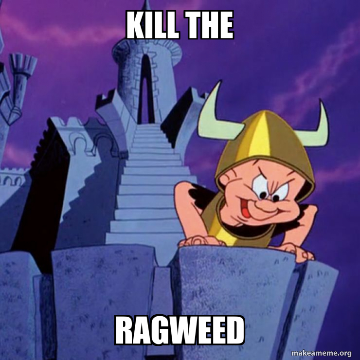 KILL THE RAGWEED Meme Generator