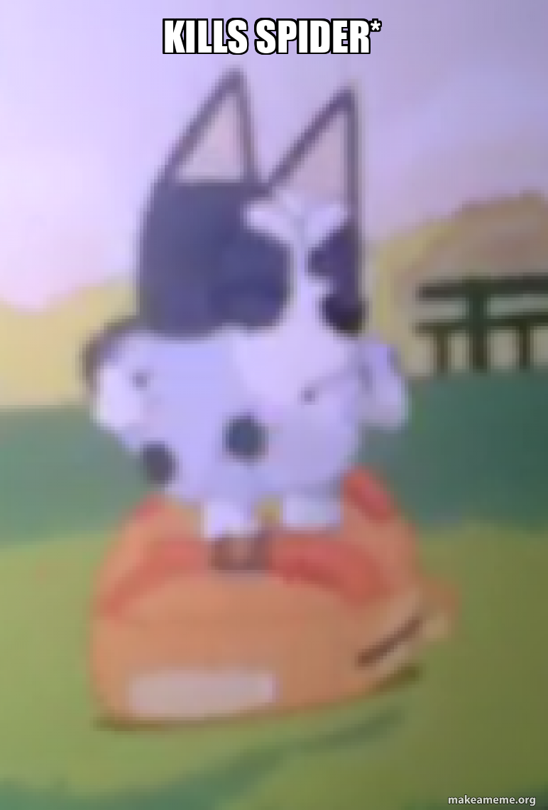 kills spider* - no I will not give a brief description thank you Meme ...