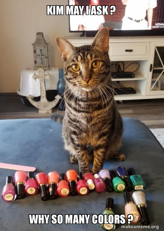 Kim may i ask ? why so many colors ? Meme Generator