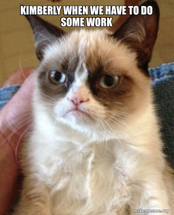Kimberly when we have to do some work - Grumpy Cat Meme Generator