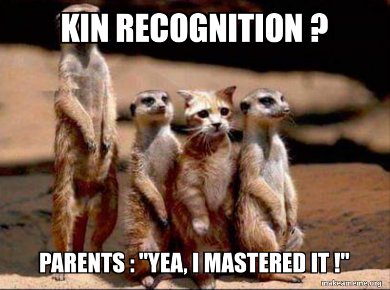 kin recognition ? Parents : "Yea, I mastered it !" - Kin recognition ...