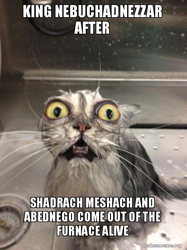 king nebuchadnezzar after shadrach meshach and abednego come out of the ...