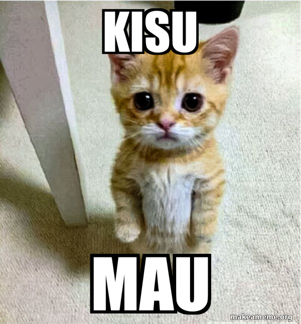 kisu mau - Cute Cat Standing Meme Generator