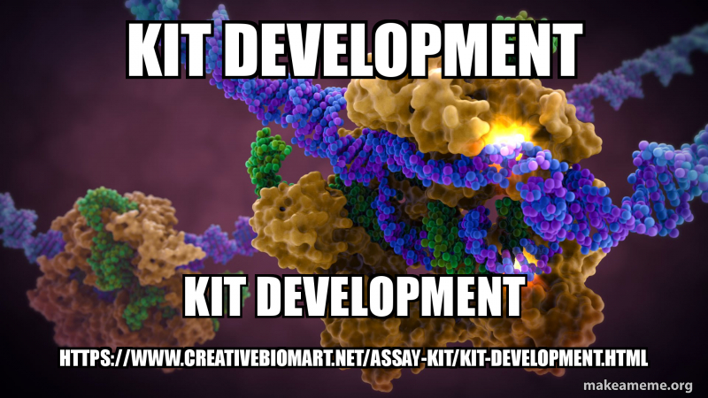 Kit Development Kit Development https://www.creativebiomart.net/assay ...