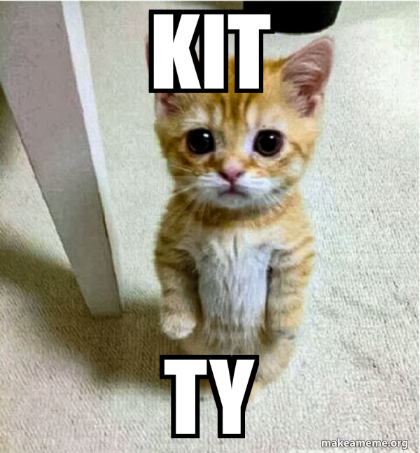 Kit Ty - Cute Cat Standing Meme Generator
