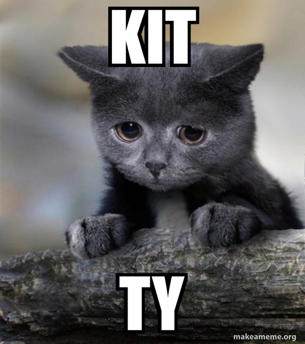 Kit Ty - Confession Cat Meme Generator