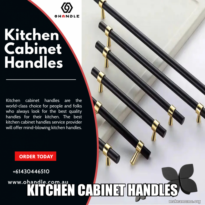 kitchen cabinet handles - kitchen cabinet handles Meme Generator