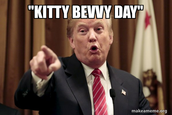 "Kitty Bevvy Day" - Donald Trump Says Meme Generator