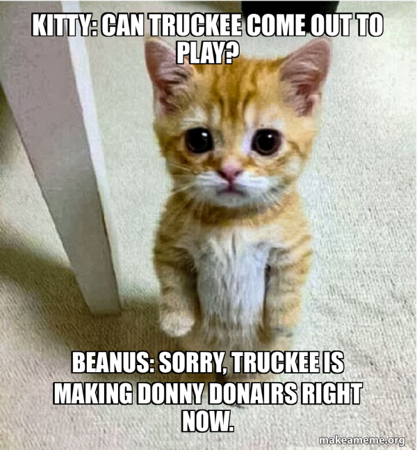 Kitty: Can Truckee come out to play? Beanus: Sorry, Truckee is making ...