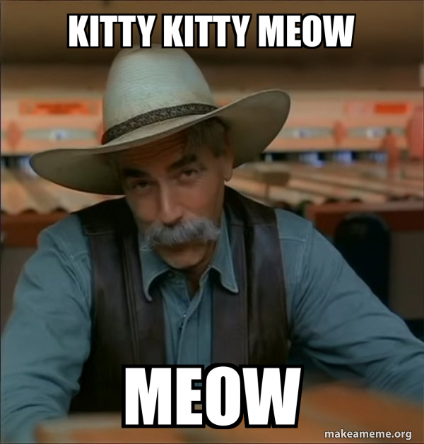 Kitty kitty meow Meow - Then You're a Special Kind of Stupid - Sam ...