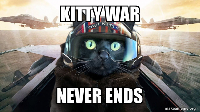 kitty war never ends Meme Generator