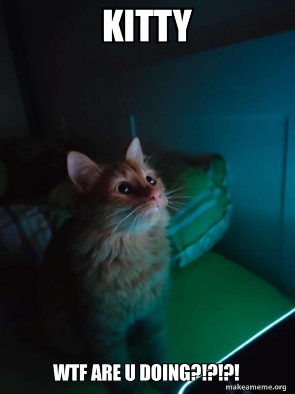 KITTY wtf are u doing?!?!?! Meme Generator