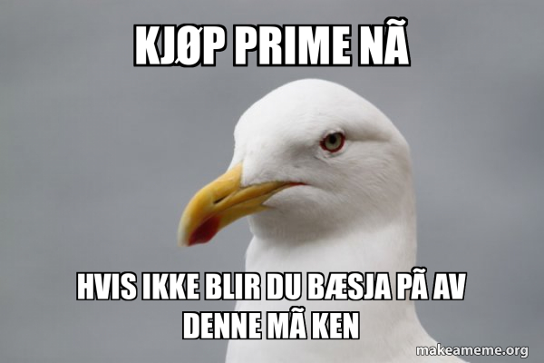 kjøp prime nå hvis ikke blir du bæsja på av denne måken - Stuff That ...