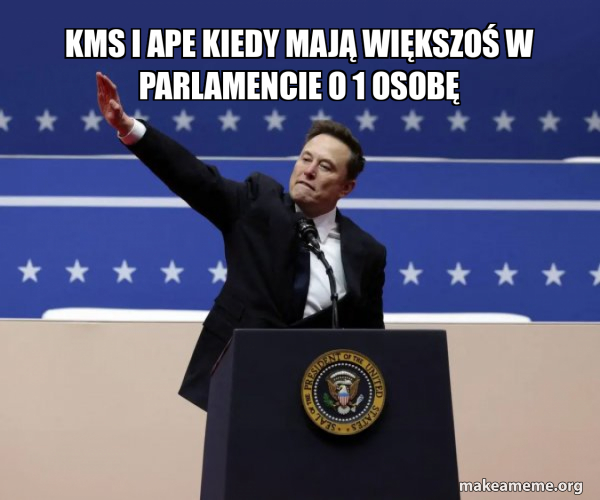 KMS I APE kiedy mają większoś w parlamencie o 1 osobę - Nazi Elon Meme ...
