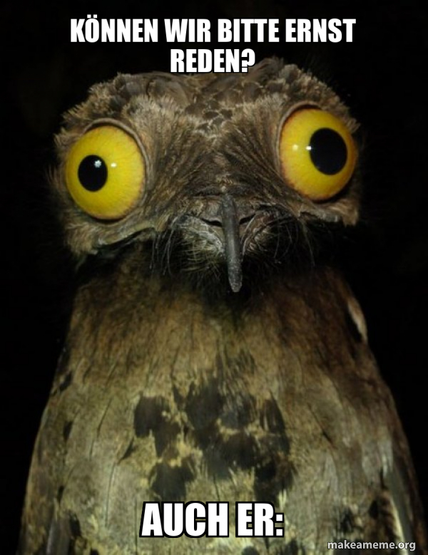Können wir bitte ernst reden? auch er: - Weird Stuff I do Potoo Meme ...