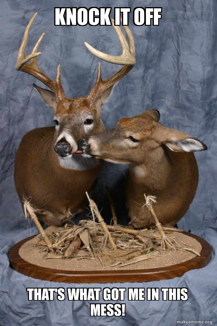 Knock it off THat's what got me in this mess! Meme Generator